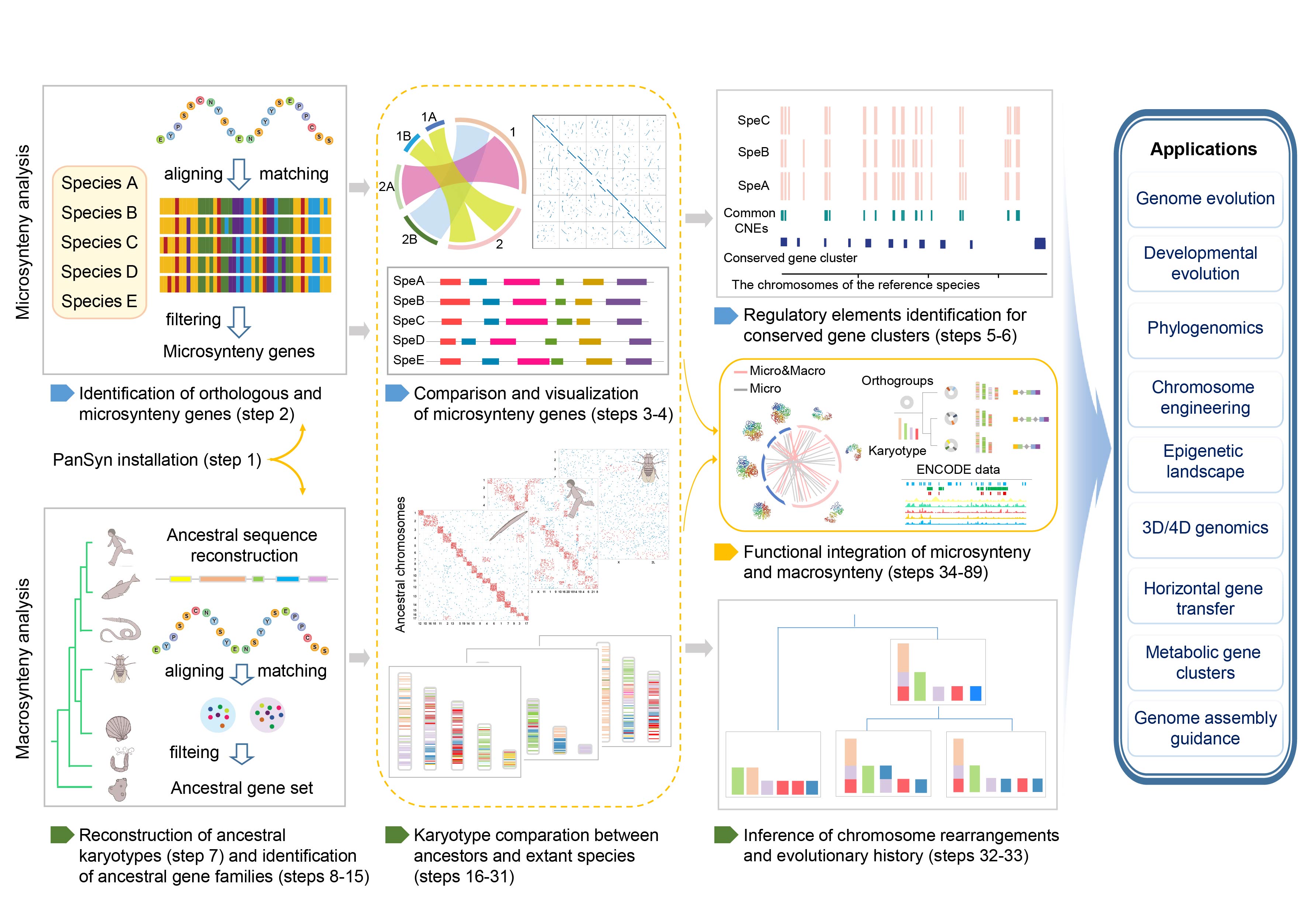 文章背后的故事：开发国际首个整合宏观/微观进化基因组和功能基因组的综合分析工具PanSyn